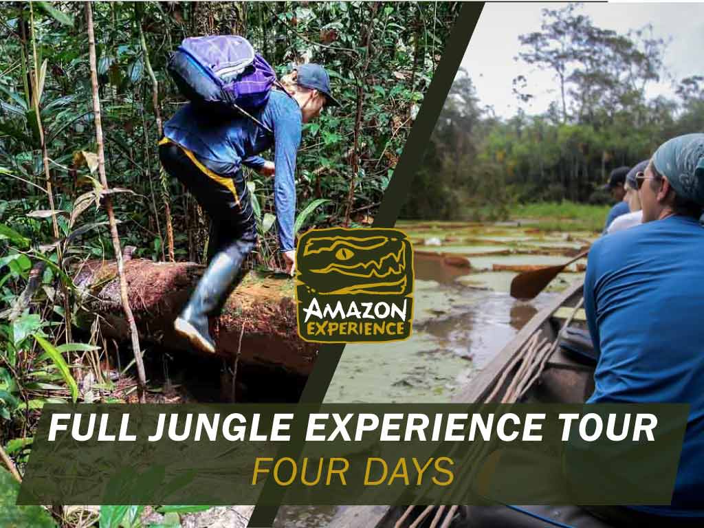 Home - Amazon Experience jungle tours