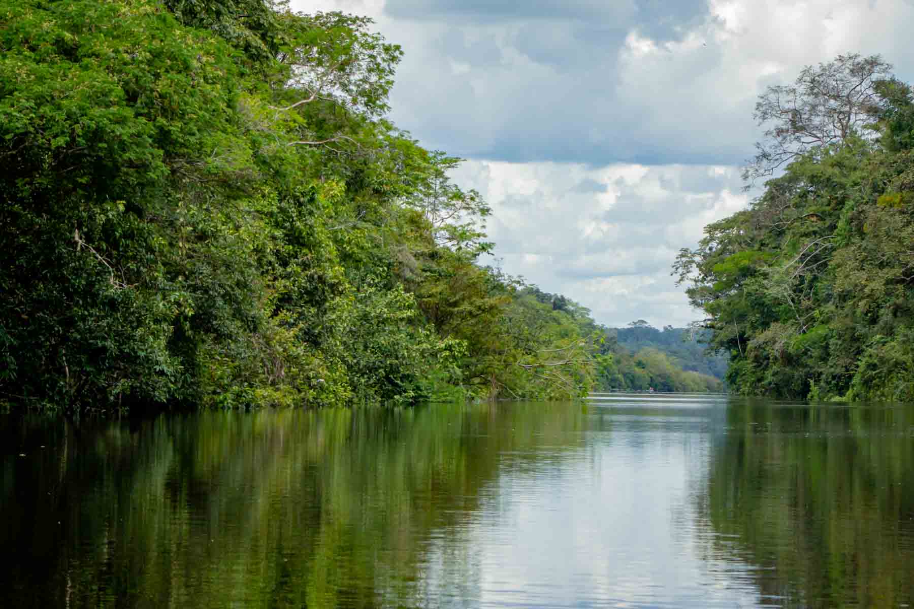 Home - Amazon Experience jungle tours