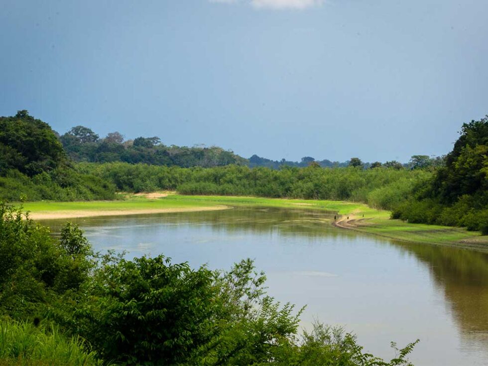 Amazon Experience Jungle Tours | Amazon Experience Jungle Tours Leticia