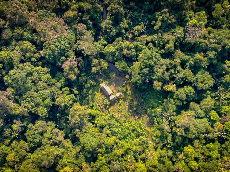 Amazon Experience Jungle Tours | Amazon Experience Jungle Tours Leticia