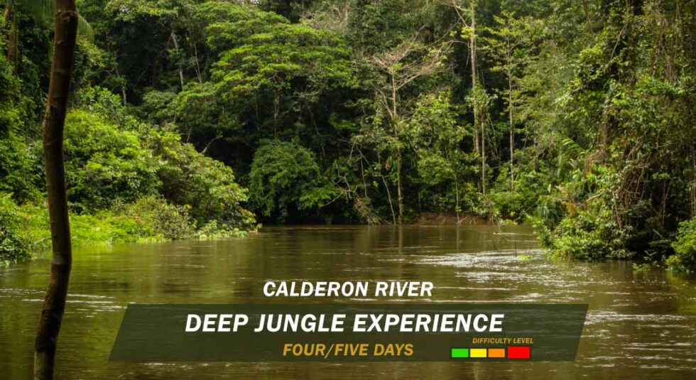 Amazon Experience Jungle Tours - Amazon Experience jungle tours