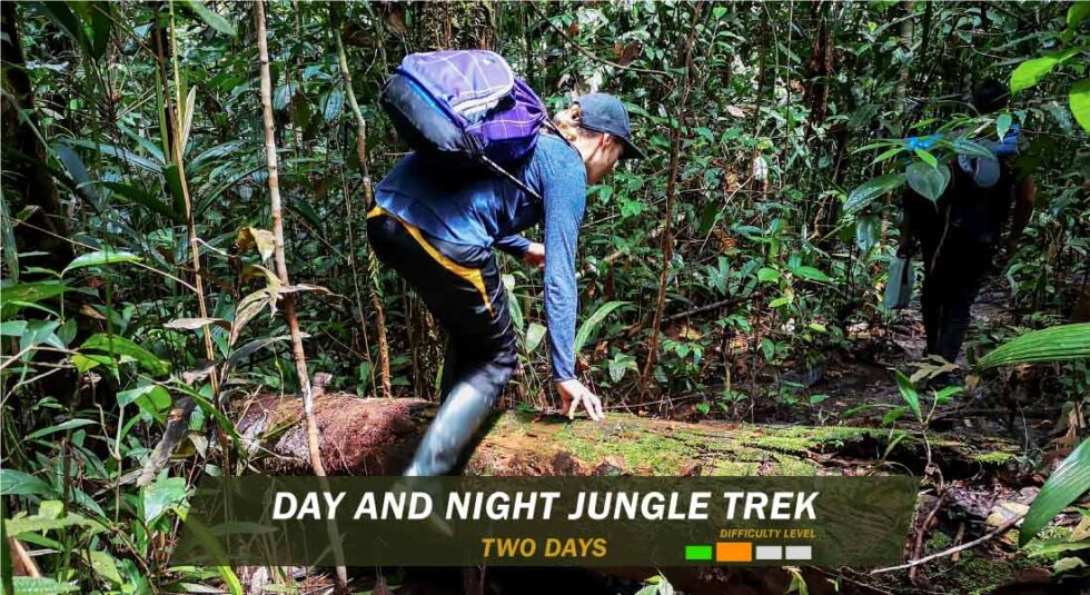 Amazon Jungle Tours in Leticia | Amazon Experience Jungle Tours Leticia