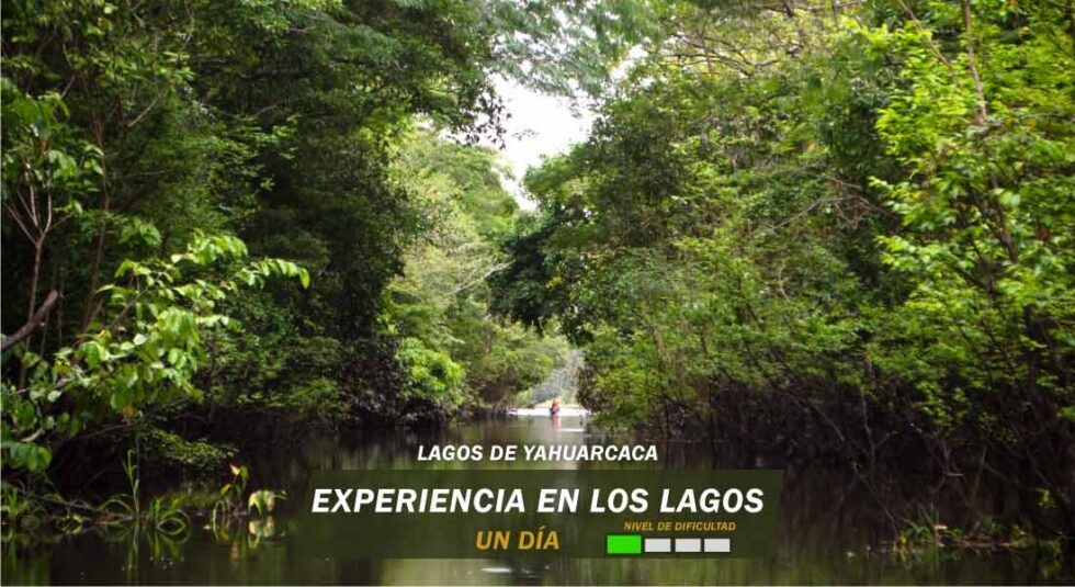 Tours de Selva en Leticia Amazonas - Amazon Experience - Jungle Tours ...