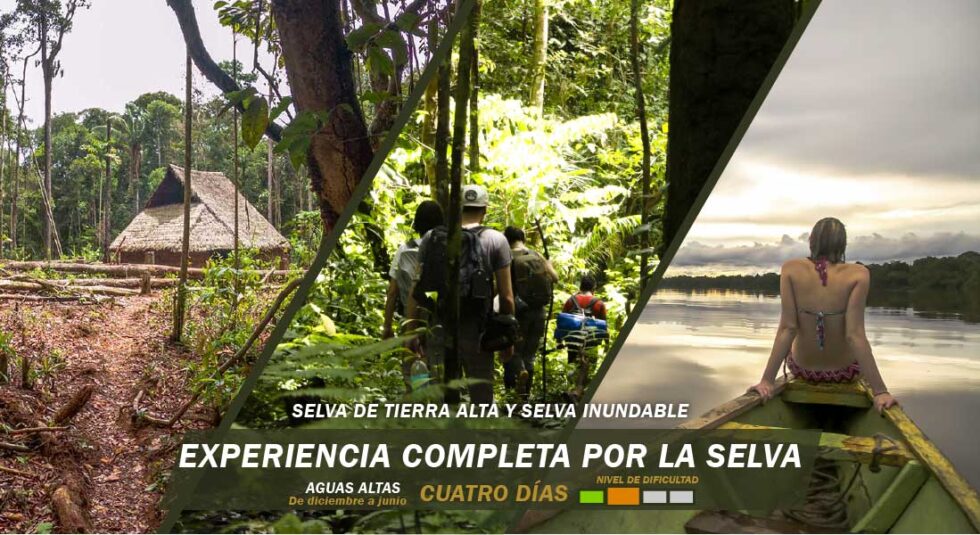 Amazon Experience tours en la selva Amazonas | Amazon Experience Jungle ...